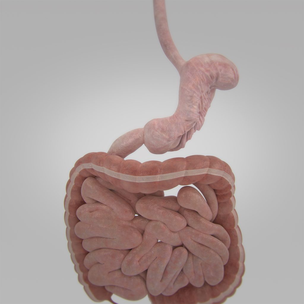 Endoscopic Sleeve Gastroplasty (ESG) - Lenox Hill Bariatric Surgery ...