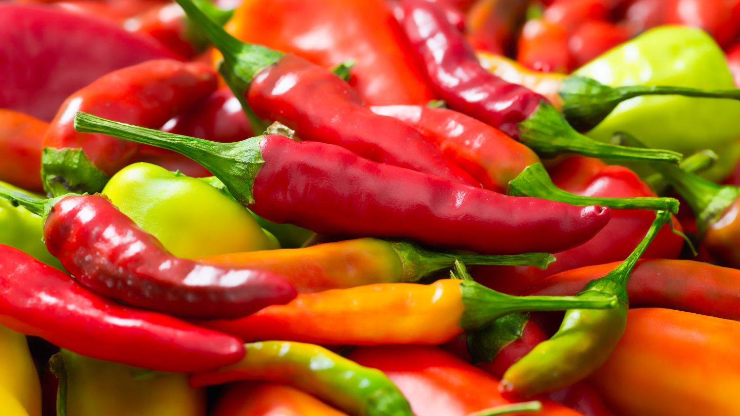 What Foods and Drinks to Avoid After Bariatric Surgery?